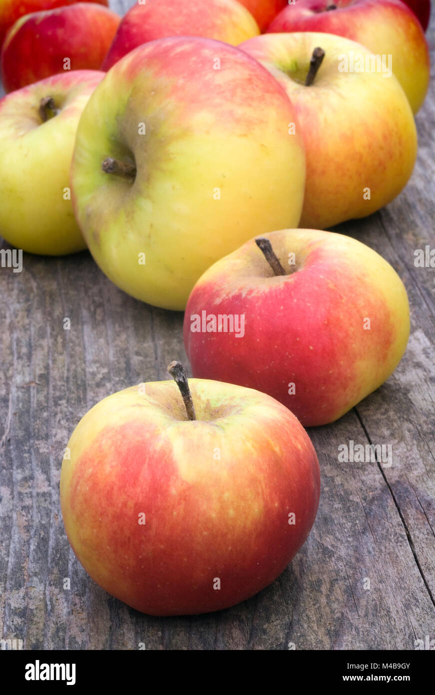 Red wild apples hi-res stock photography and images - Alamy
