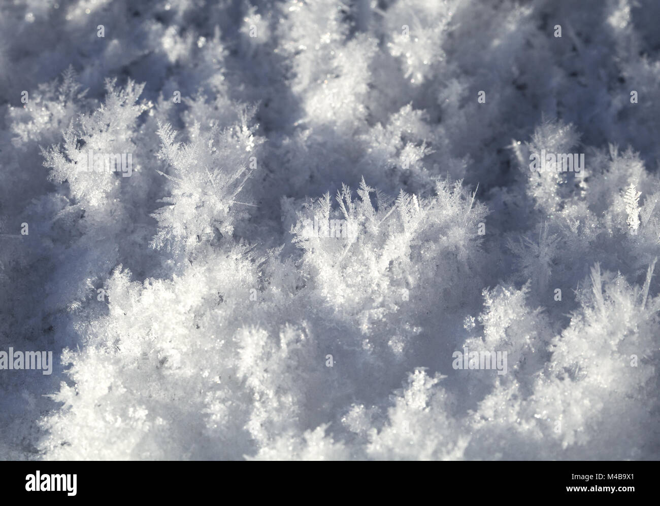 Snow crystals on the ground Stock Photo - Alamy