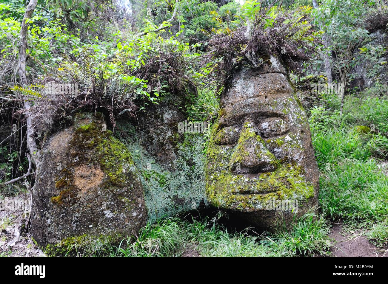 the stone face on Floreana Island Galapagos Islands Ecuador Stock Photo ...