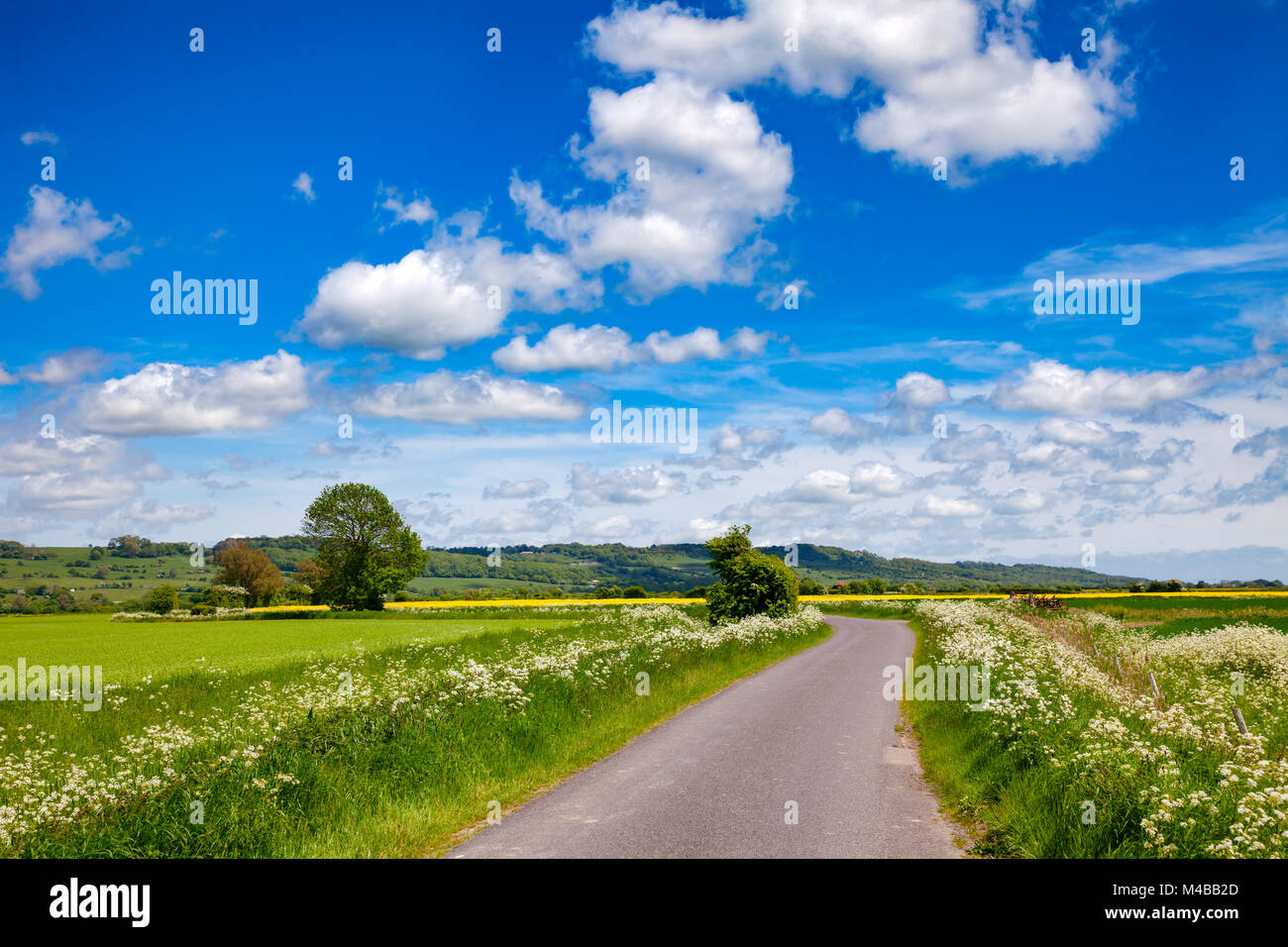Summer rural landscape with winding one lane country road going through ...