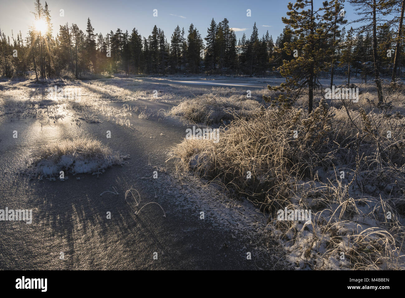 Frost covered landscape hi-res stock photography and images - Alamy
