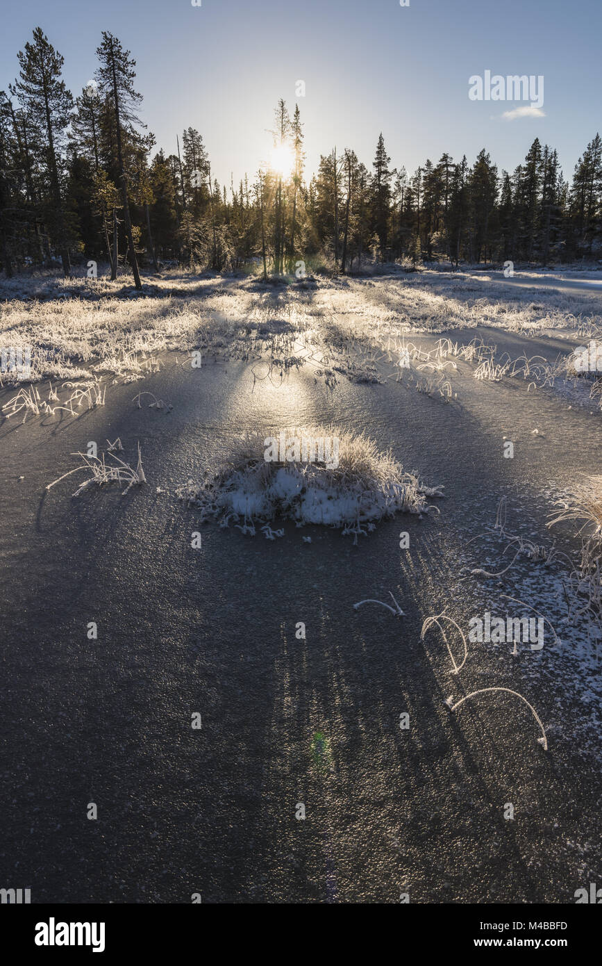 Frost covered landscape hi-res stock photography and images - Alamy