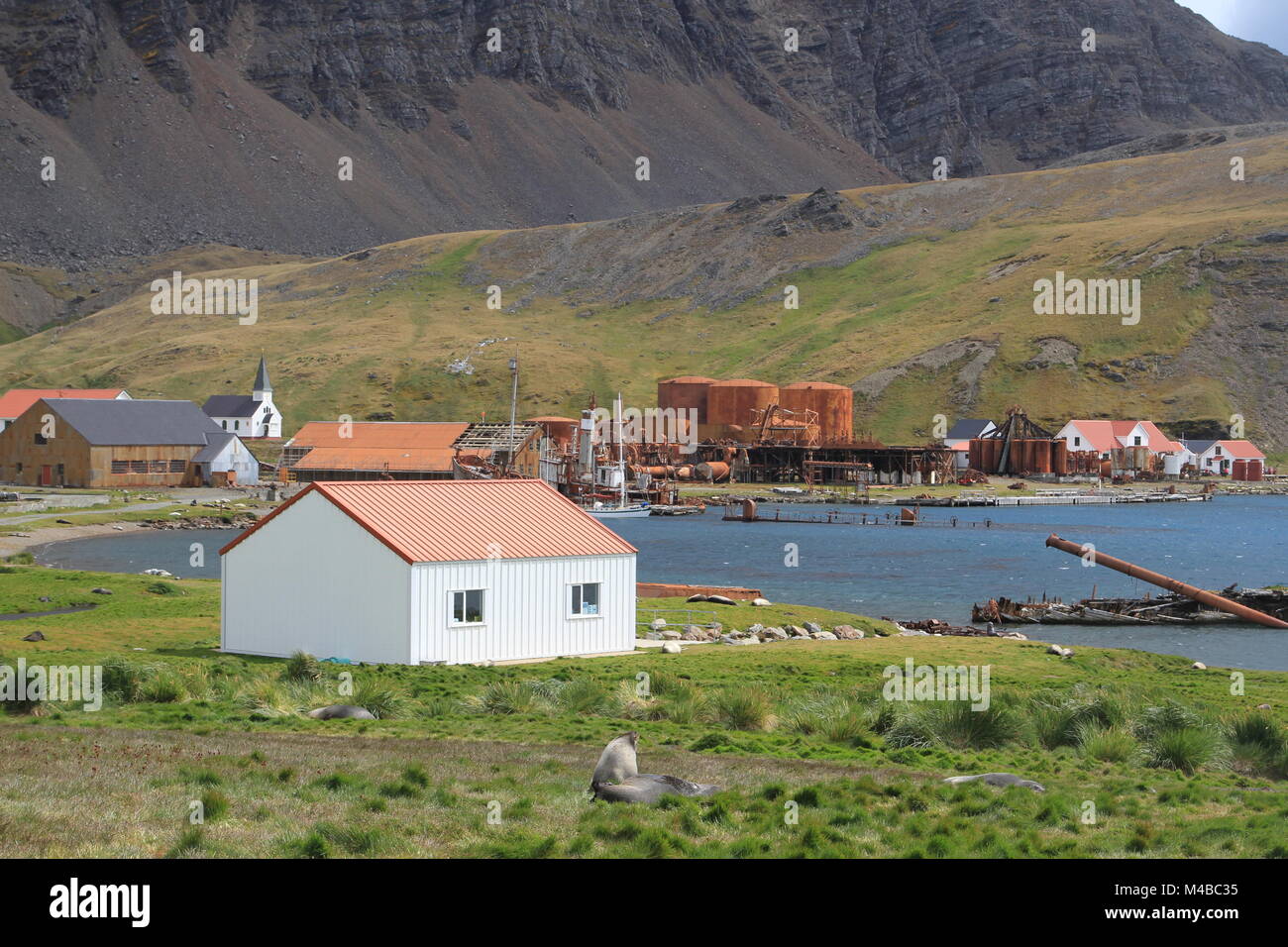 Grytviken, South Georgia Stock Photo - Alamy