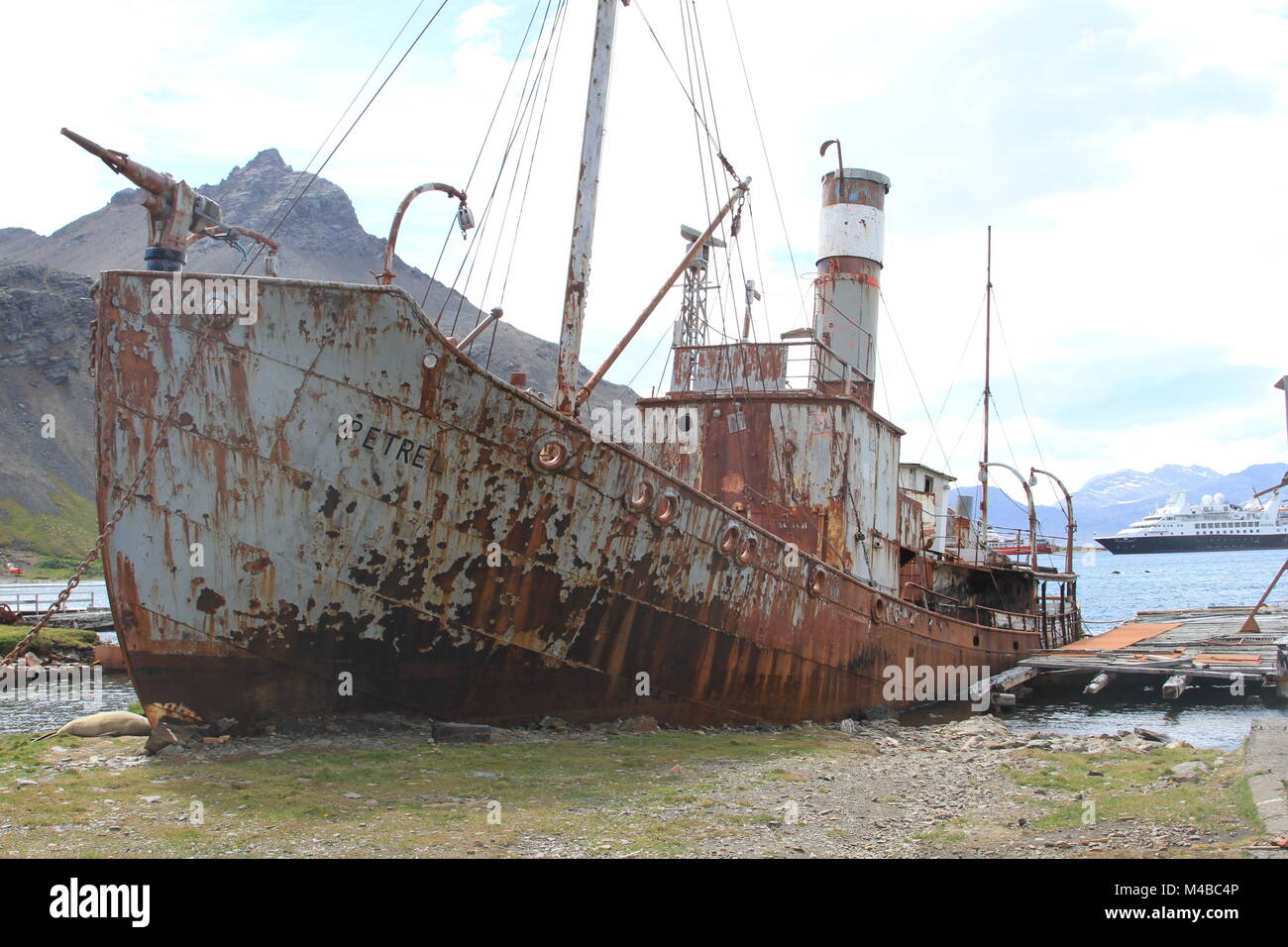 Grytviken, South Georgia Stock Photo - Alamy