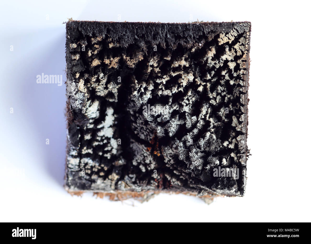 Burnt timber hi-res stock photography and images - Alamy