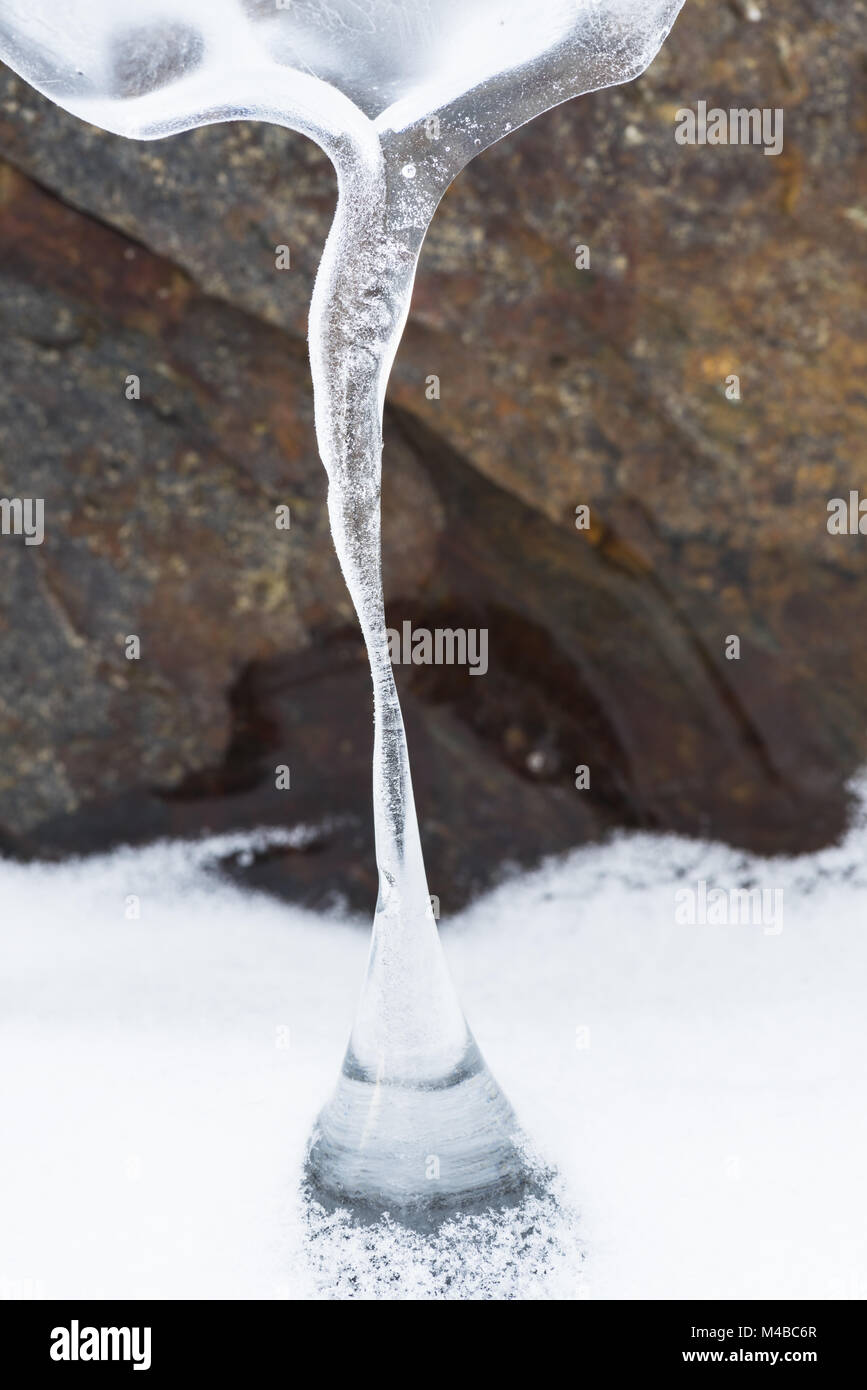 Icicle, Lake Tornetraesk, Lapland, Sweden Stock Photo - Alamy