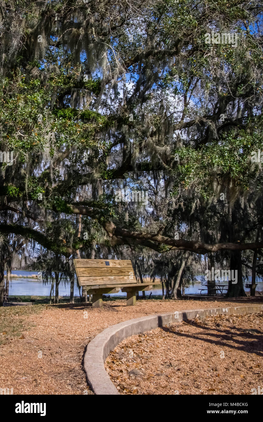 A bench in a Texas state park by a playground Stock Photo - Alamy