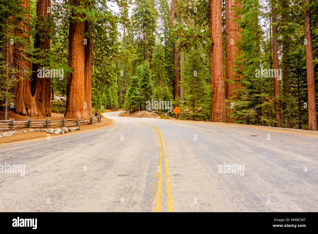 Winding road sequoia national park hi-res stock photography and images ...