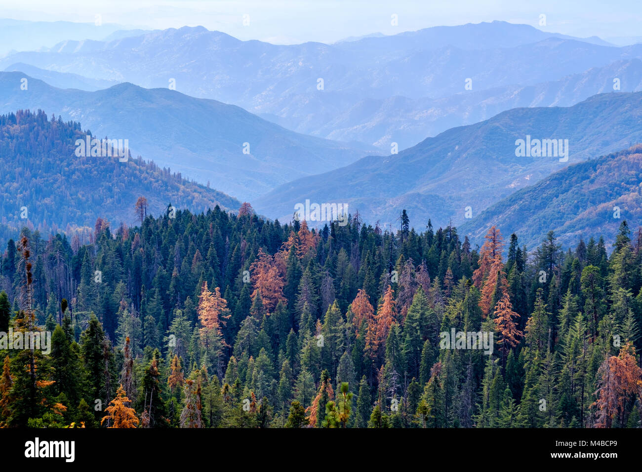 Sequoia National Park mountain landscape at autumn Stock Photo - Alamy