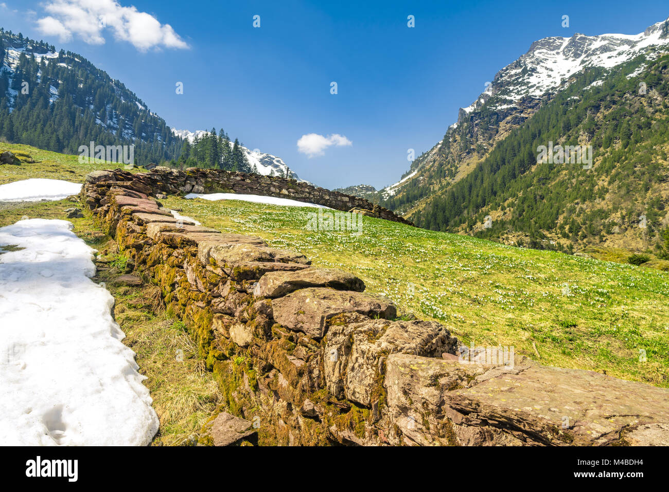 Early spring in the swiss Alps Stock Photo - Alamy