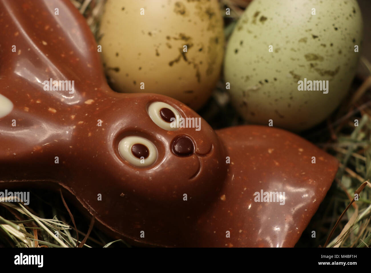 Chocolate Easter bunny in a basket Stock Photo - Alamy