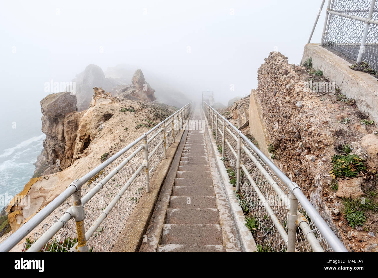 Trail through white fog to Point Reyes at Pacific coast Stock Photo - Alamy
