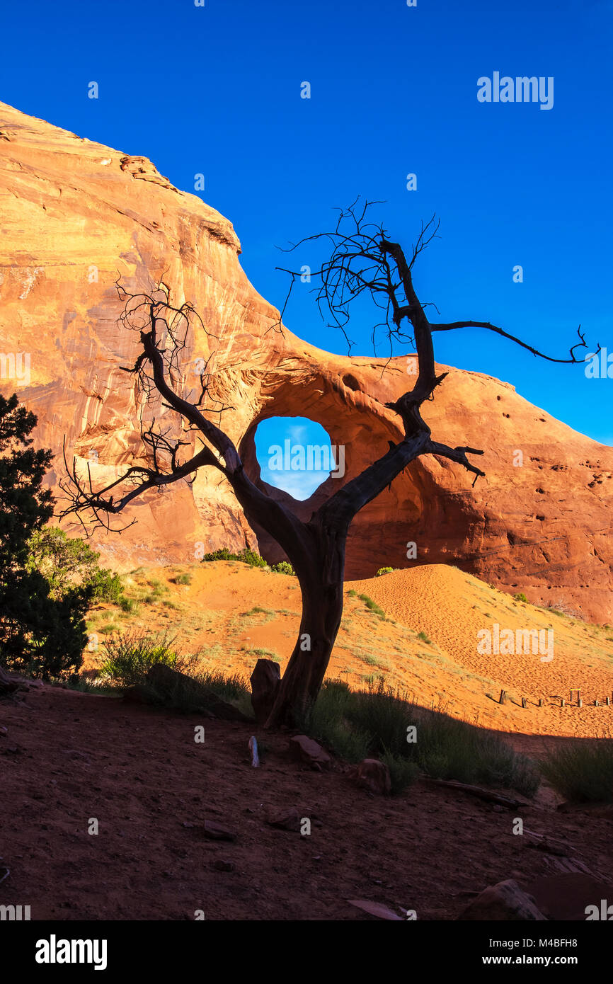 The Ear of the Wind Arch with a dead juniper tree in the foreground ...