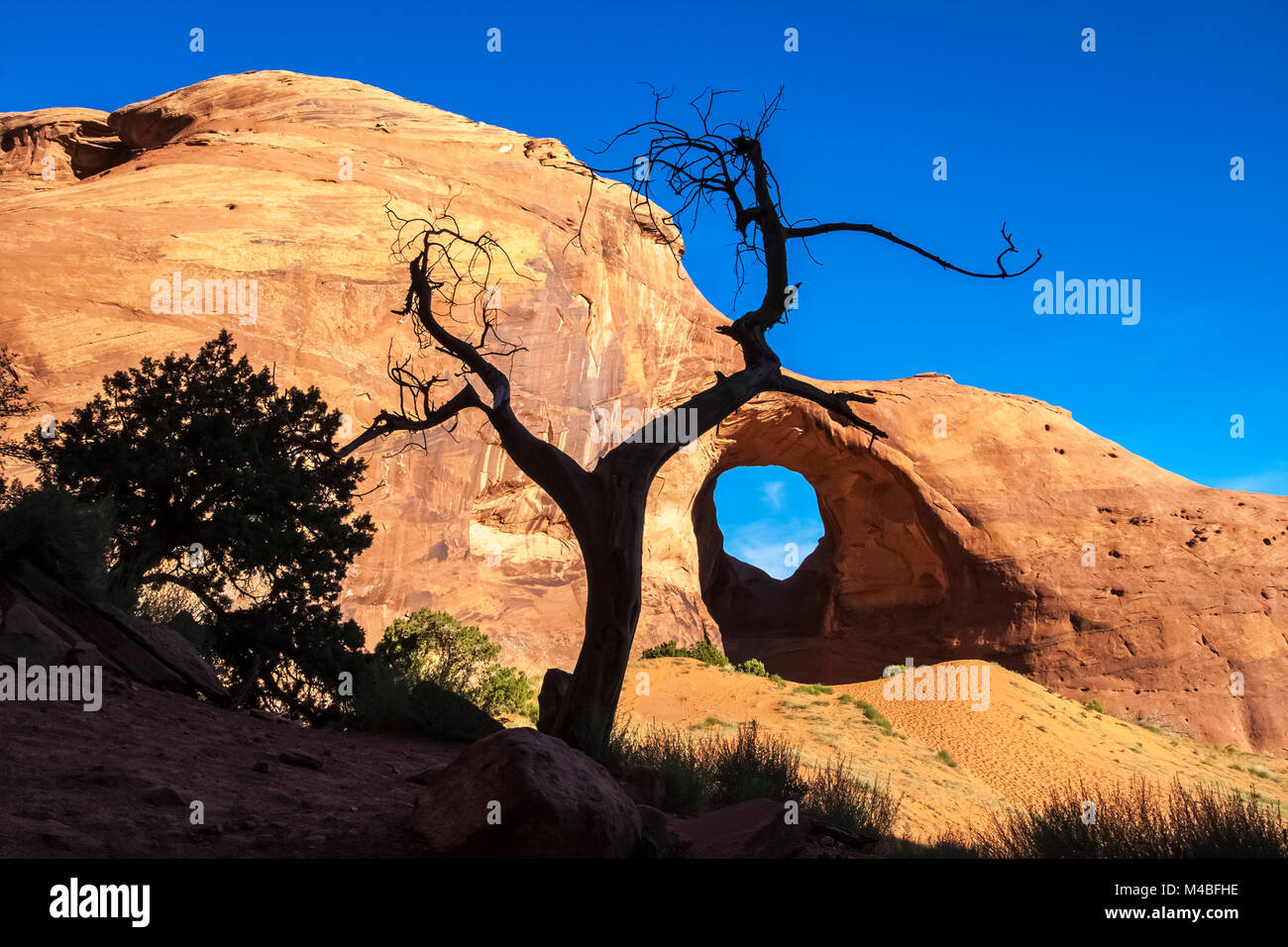 The Ear of the Wind Arch with a dead juniper tree in the foreground ...