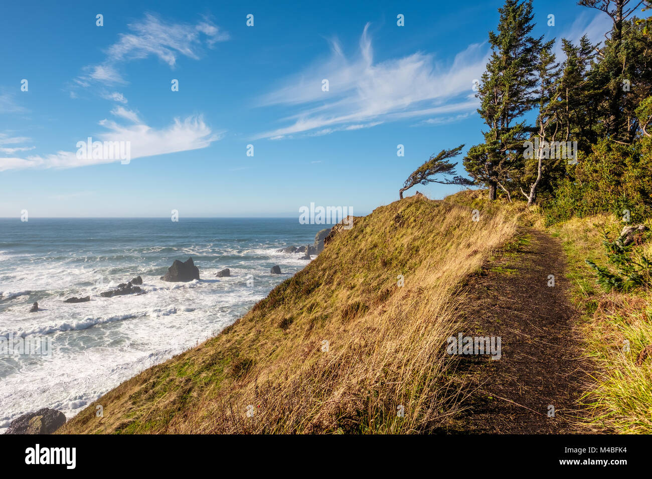 USA Pacific coast landscape, Oregon Stock Photo - Alamy