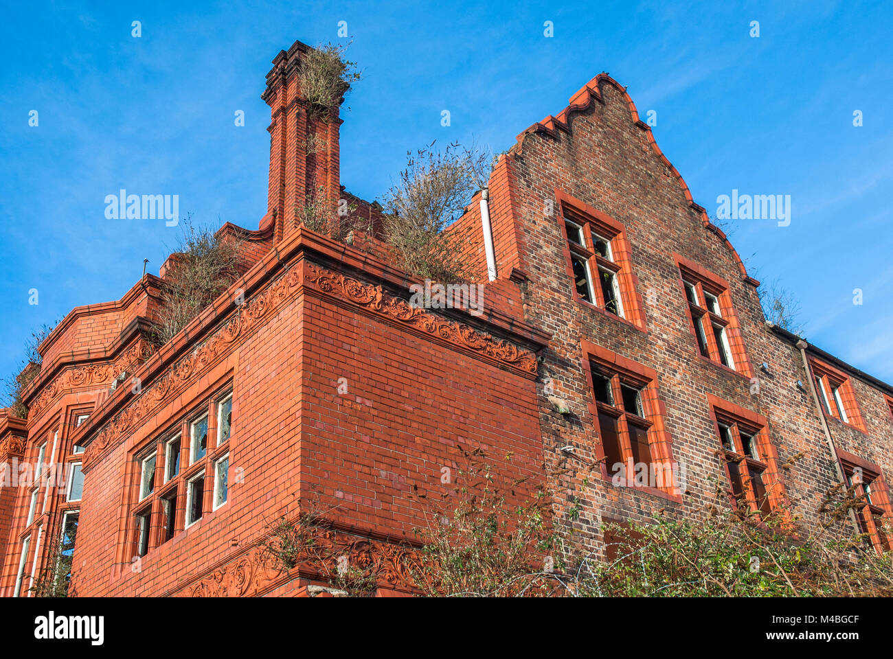 The florence institute hi-res stock photography and images - Alamy