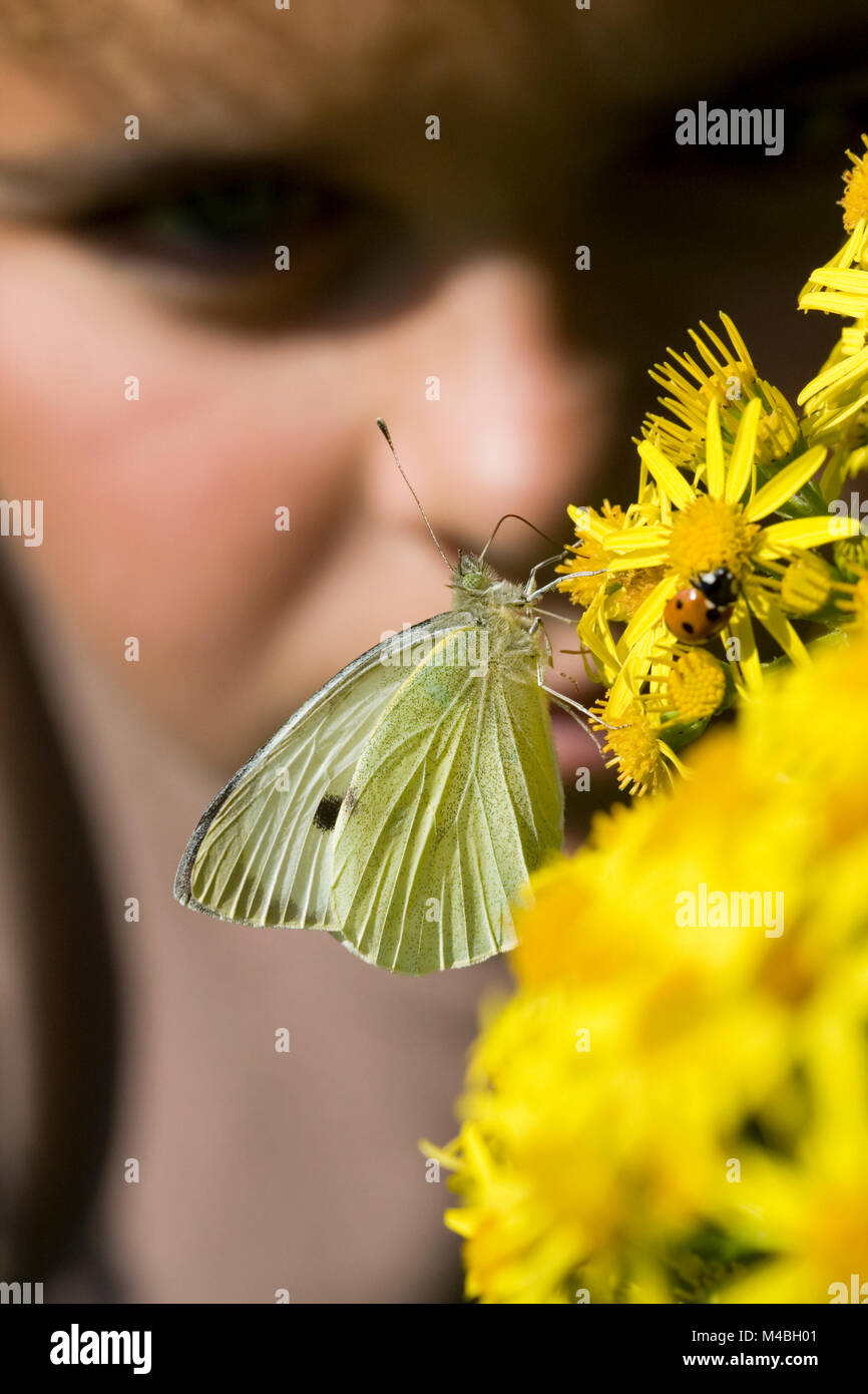 Observing insects hi-res stock photography and images - Alamy