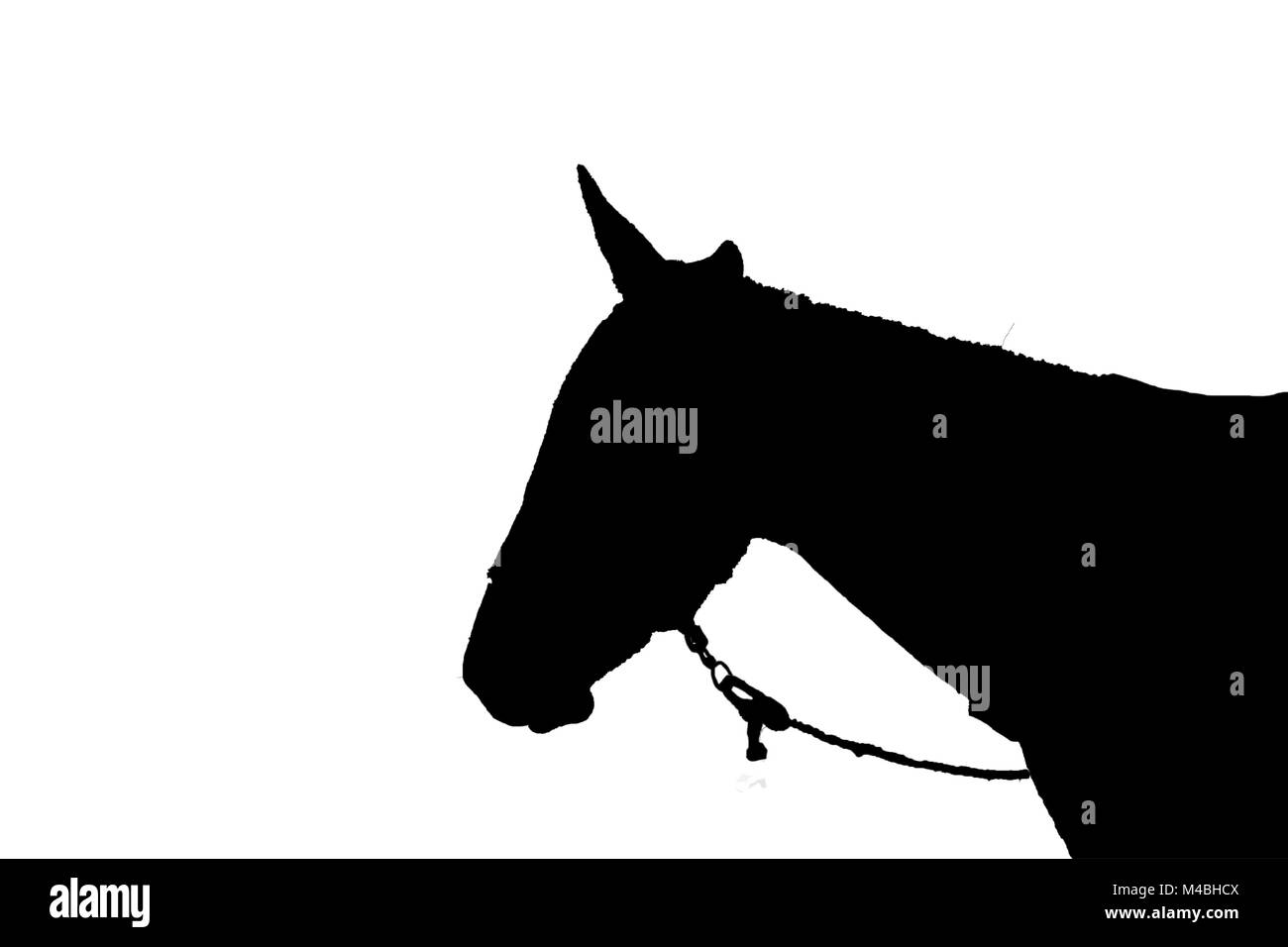 View on part south Black and White Stock Photos & Images - Alamy
