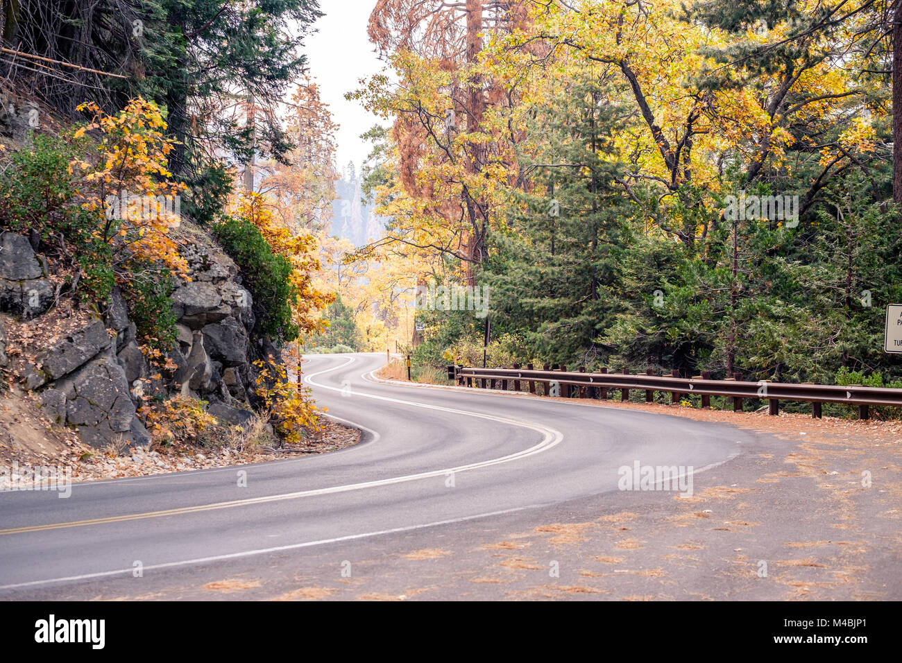 Sequoia road hi-res stock photography and images - Alamy