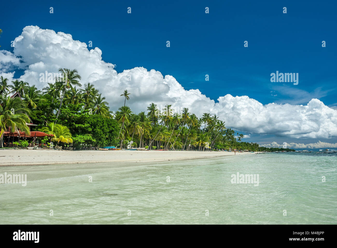 Tropical beach with palm trees at Philippines Stock Photo - Alamy