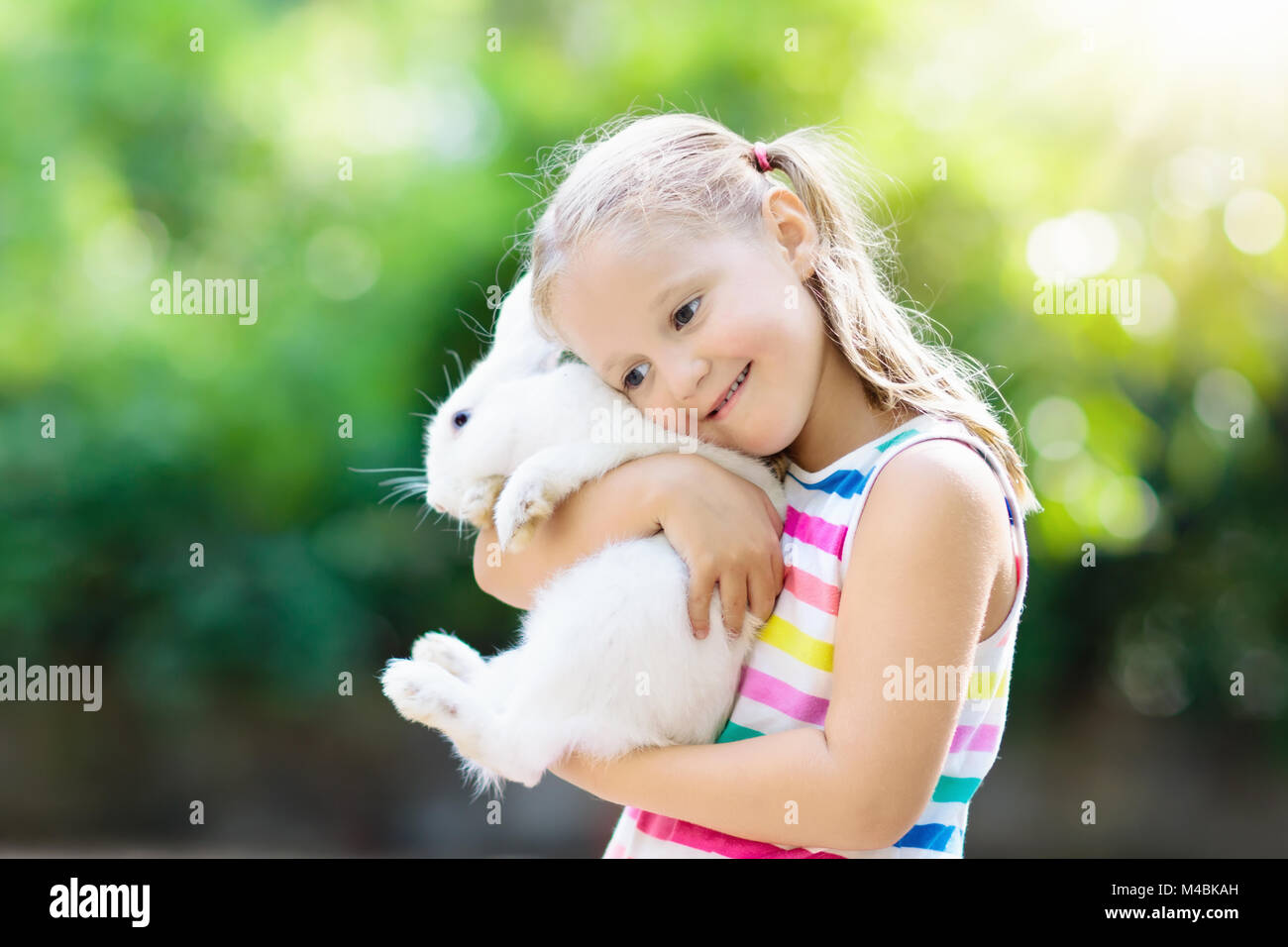 Child playing with white rabbit. Little girl feeding and petting white ...