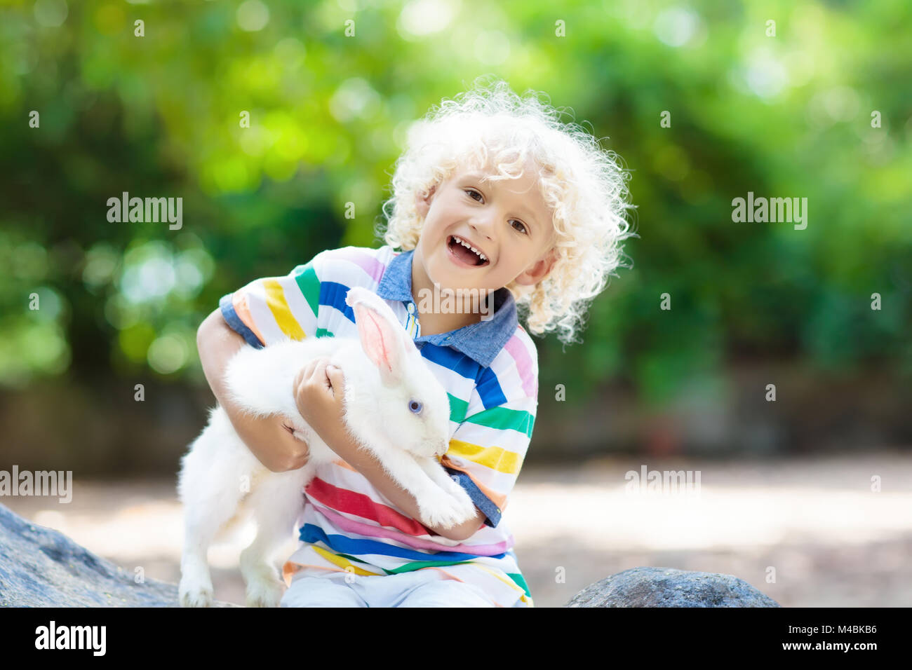 Child playing with white rabbit. Little boy feeding and petting white ...