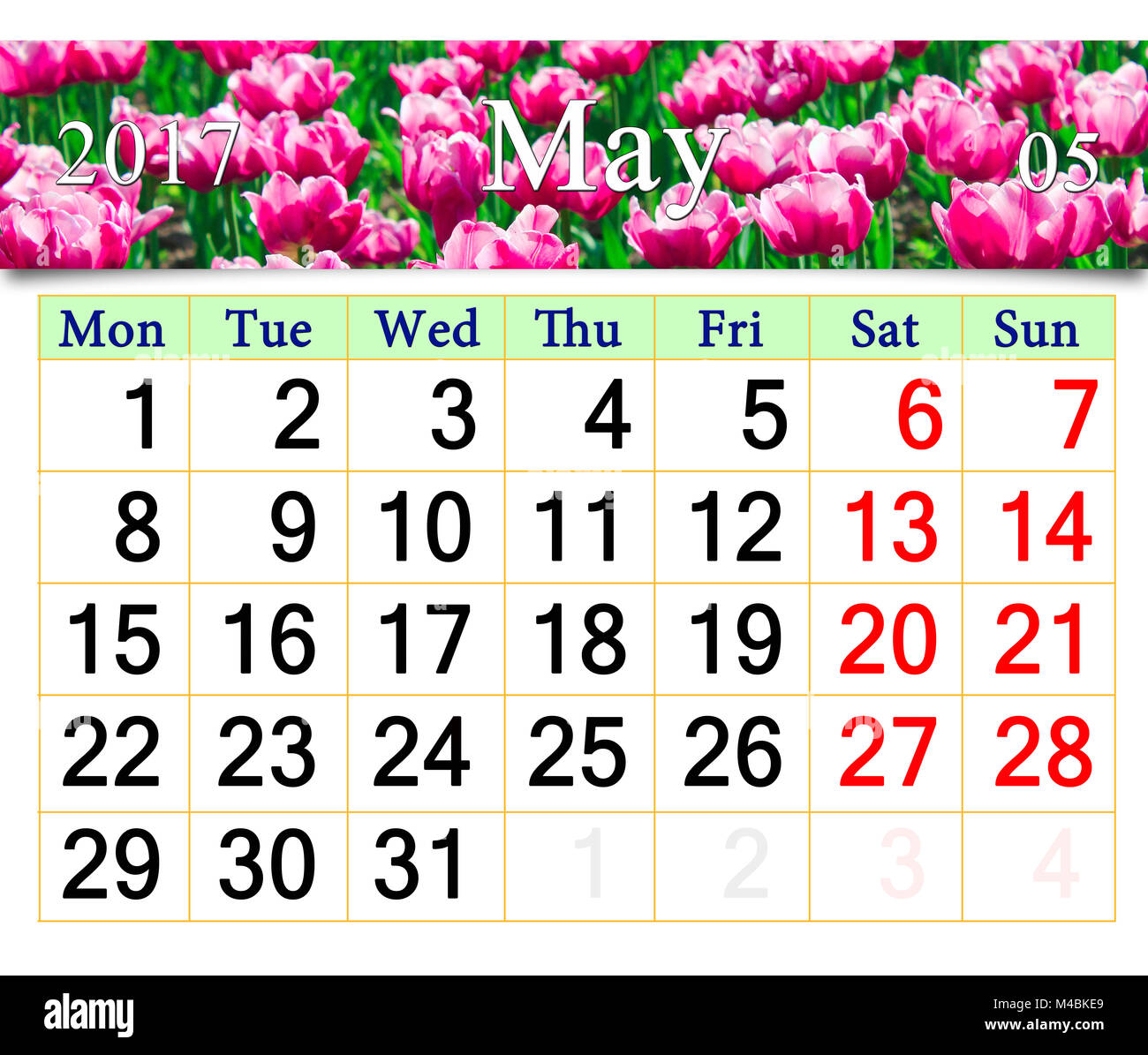 calendar for May 2017 with tulips in the garden Stock Photo - Alamy