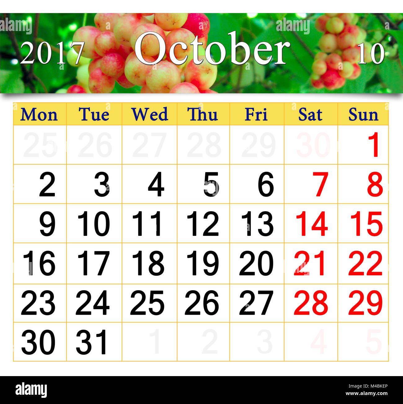calendar for October 2017 with branch of schisandra Stock Photo - Alamy