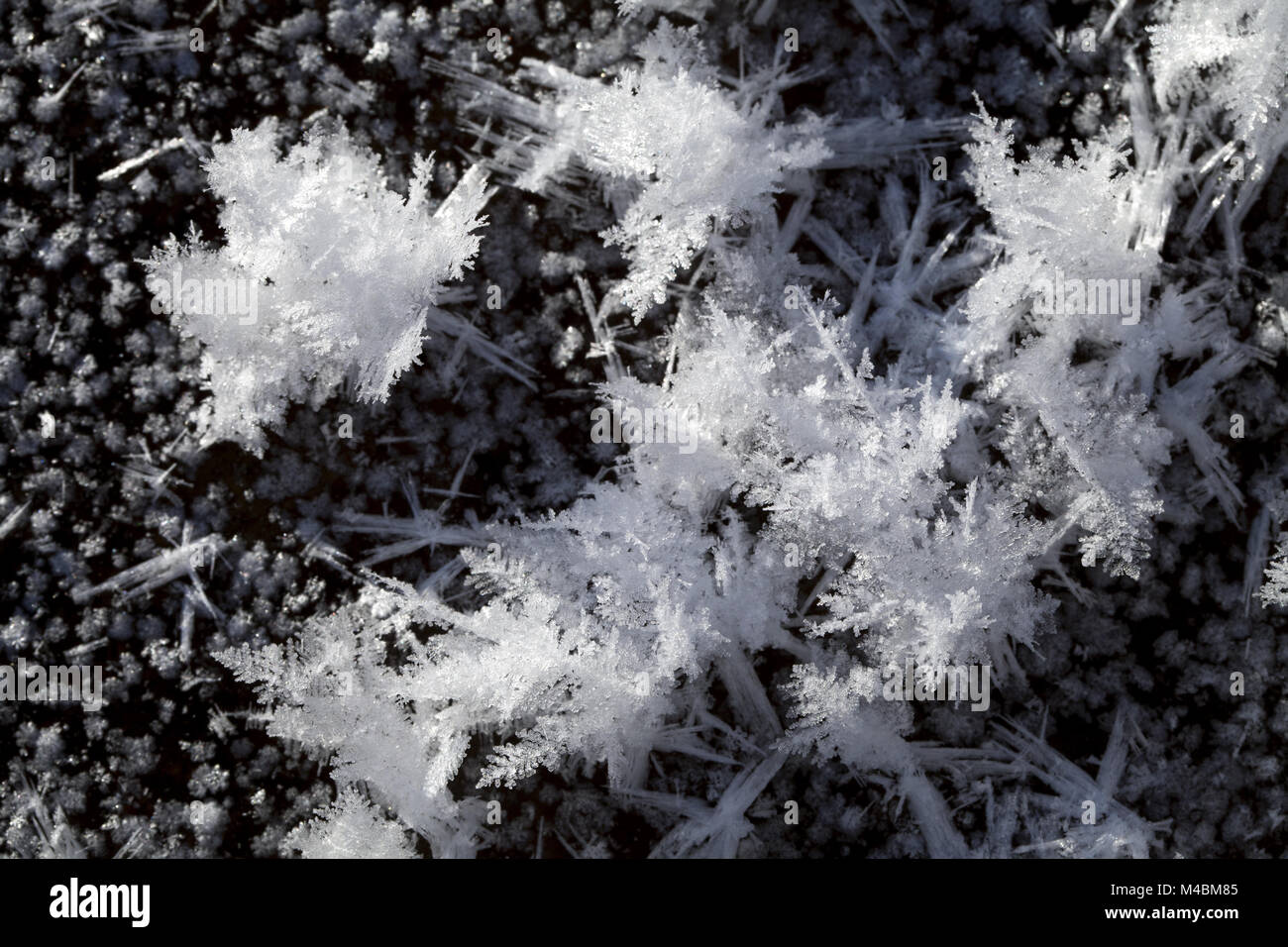 Snow crystals on the ground Stock Photo - Alamy