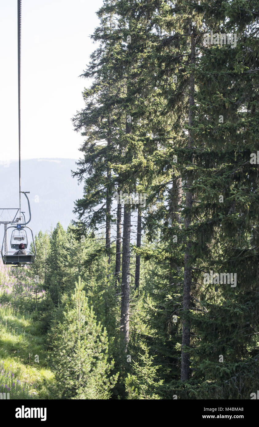 Lift in the mountain. Fir forest. Summer time Stock Photo - Alamy