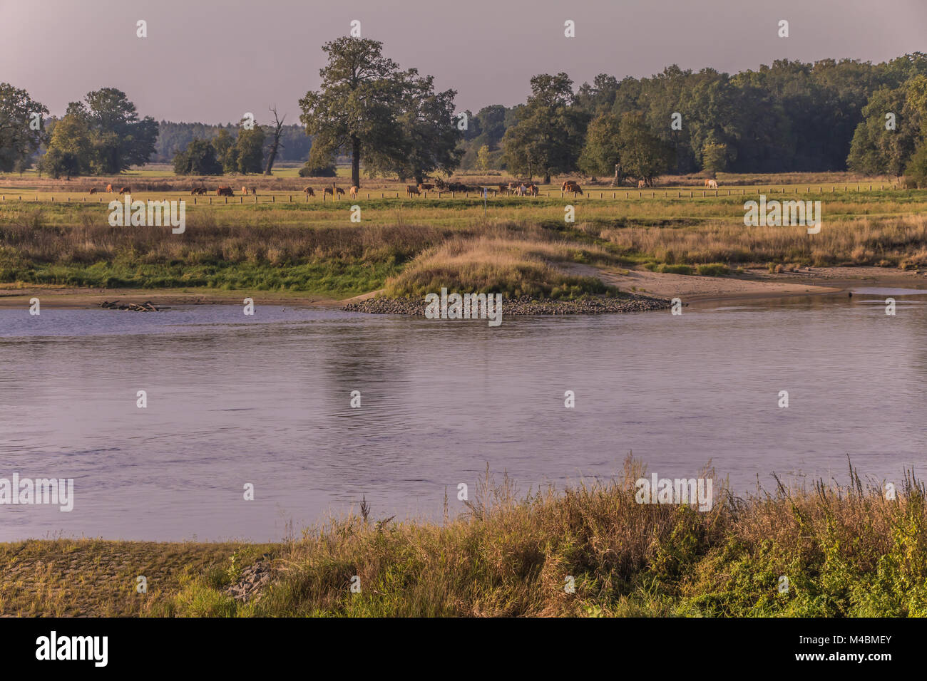 River elbe germany sachsen hi-res stock photography and images - Alamy