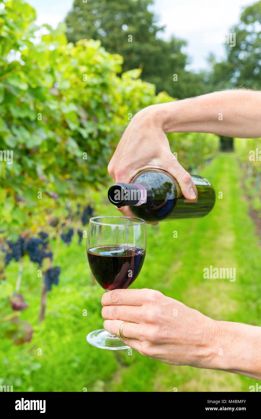 Two female arms pouring wine in fall vineyard Stock Photo - Alamy
