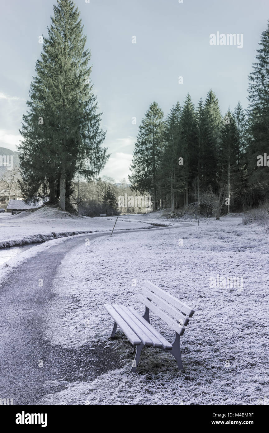 Frozen path and bench Stock Photo - Alamy