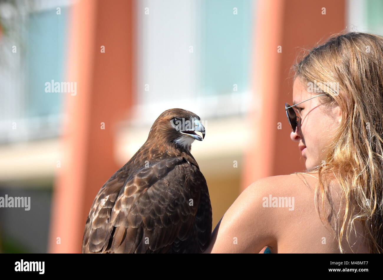 Cayo Coco Bird High Resolution Stock Photography and Images - Alamy