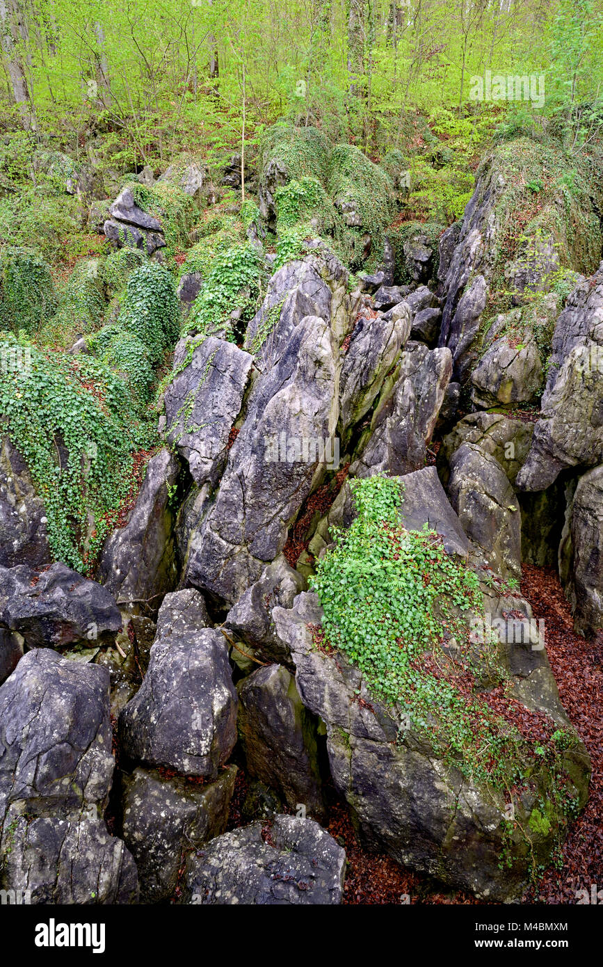 Nature reserve Felsenmeer,rugged boulders,North Rhine-Westphalia ...