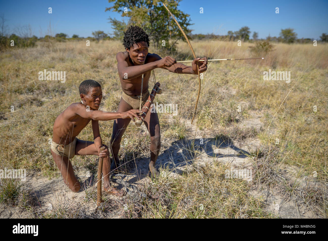 Bushmen of the Ju/' Hoansi-San on traditional hunting with bow and ...
