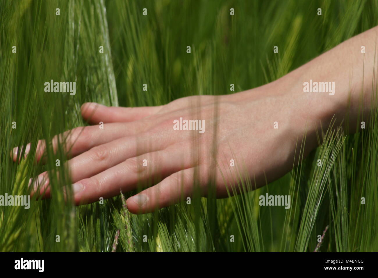 Hand drauf hi-res stock photography and images - Alamy