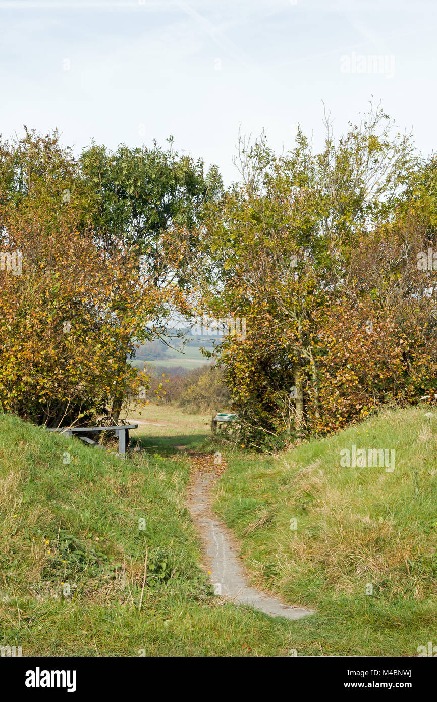 Countryside Path in Sussex Stock Photo - Alamy