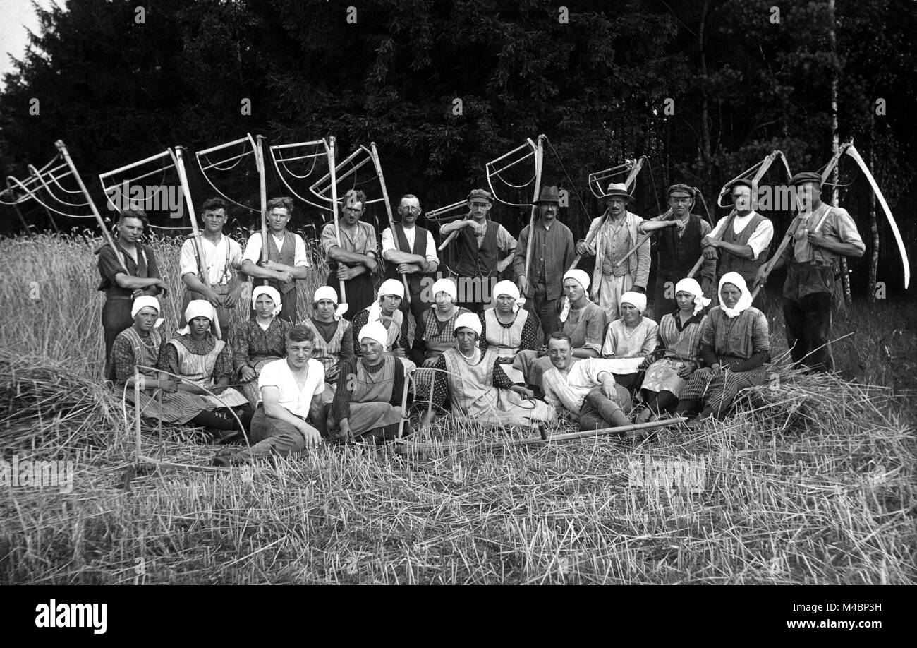 Agriculture,group of farmers with sickles and flails during hay ...