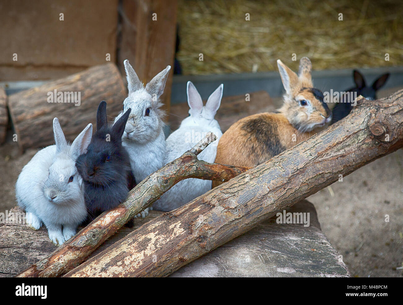 Parcher hi-res stock photography and images - Alamy