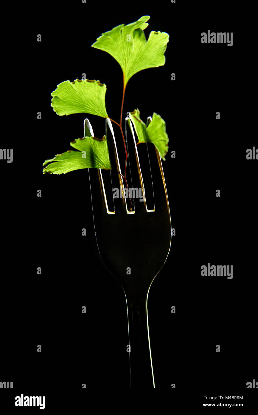 Fork and leaves hi-res stock photography and images - Alamy