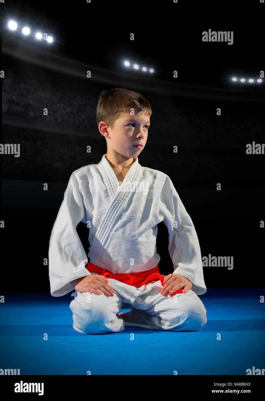 Little boy martial arts fighter in sports hall Stock Photo - Alamy
