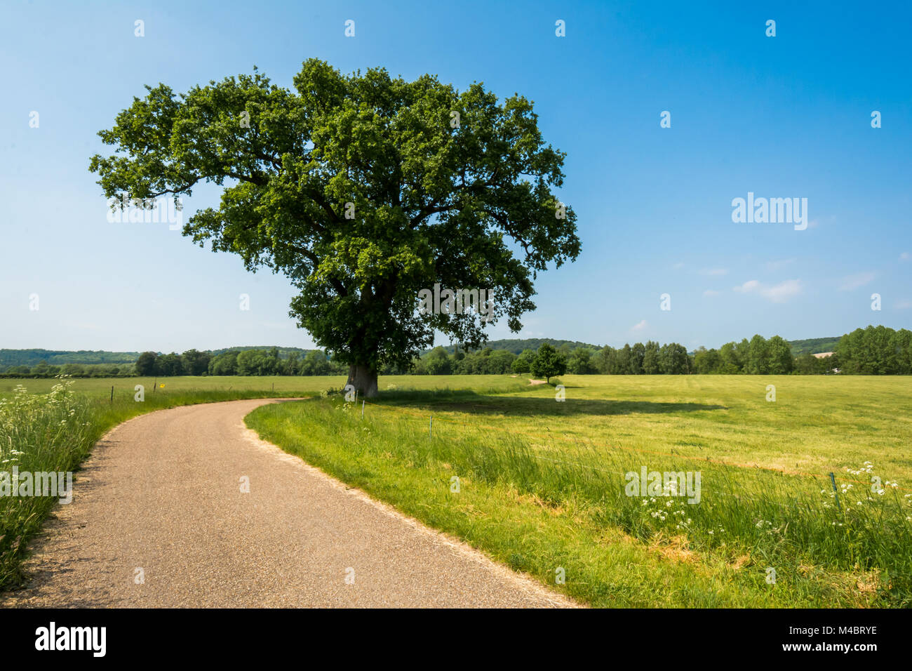 English country lane hi-res stock photography and images - Alamy