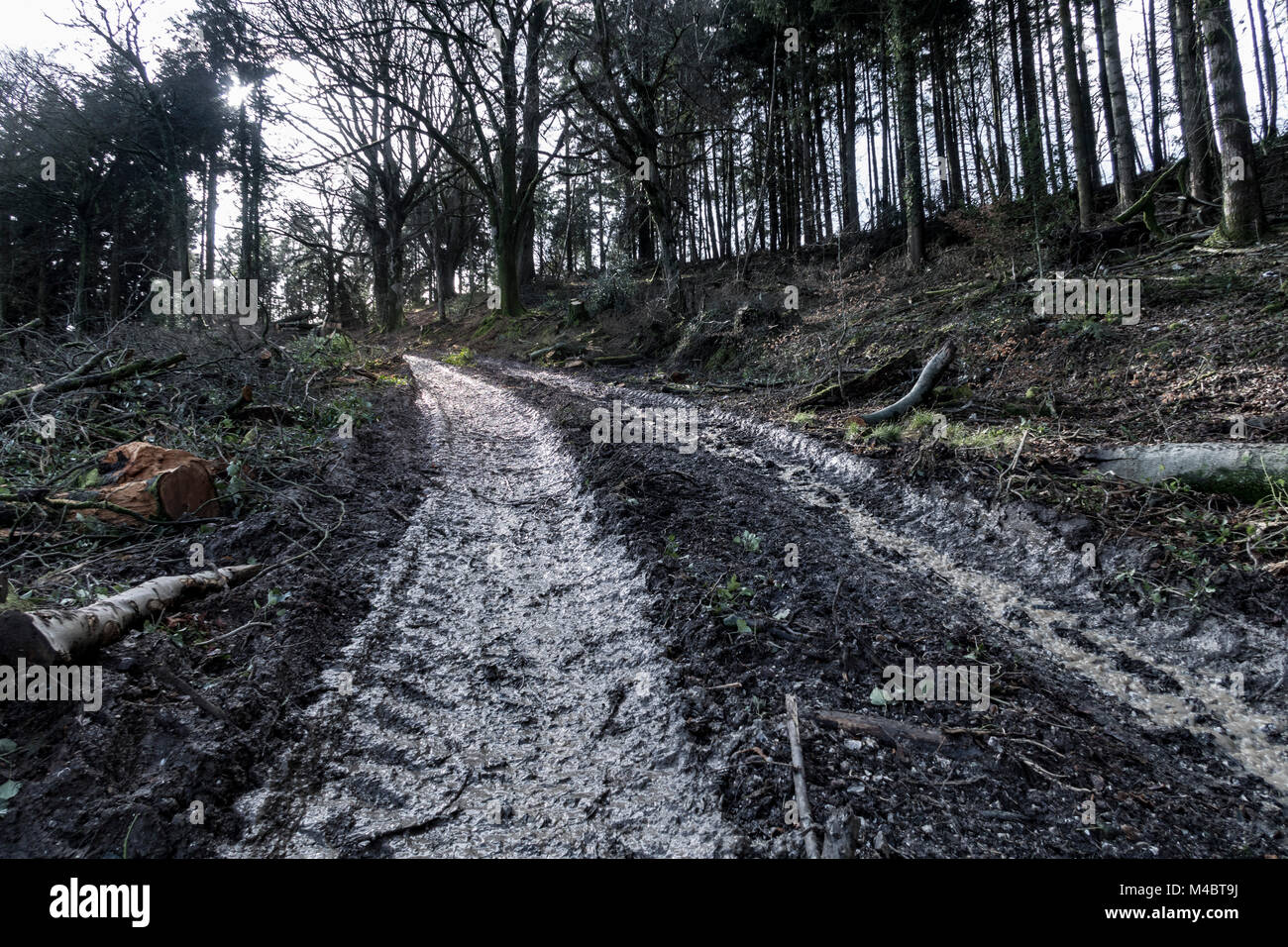 Muddy tyre tracks hi-res stock photography and images - Alamy