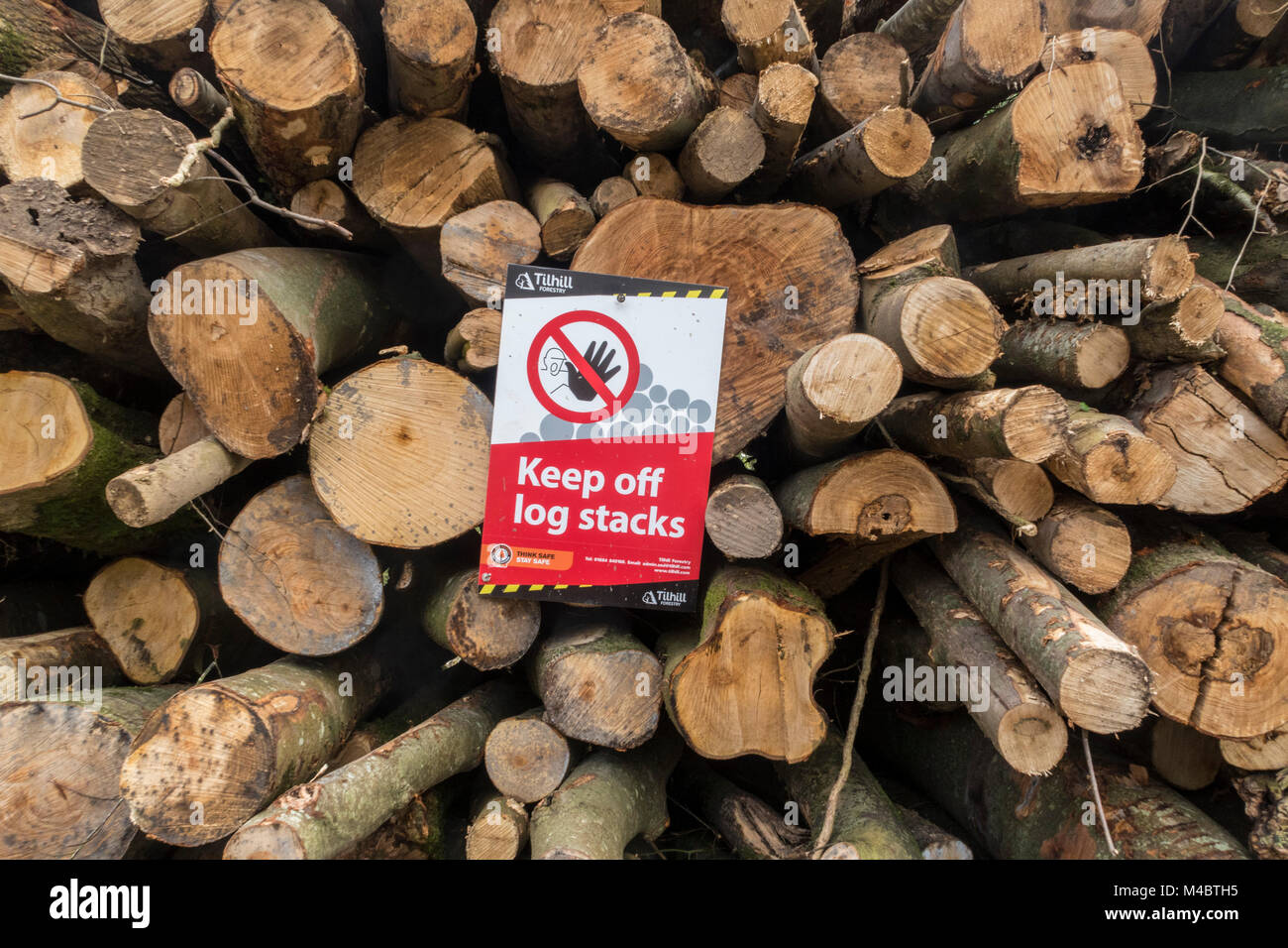 Warning sign "Keep Off Log Stacks" on a log pile in woodland where ...