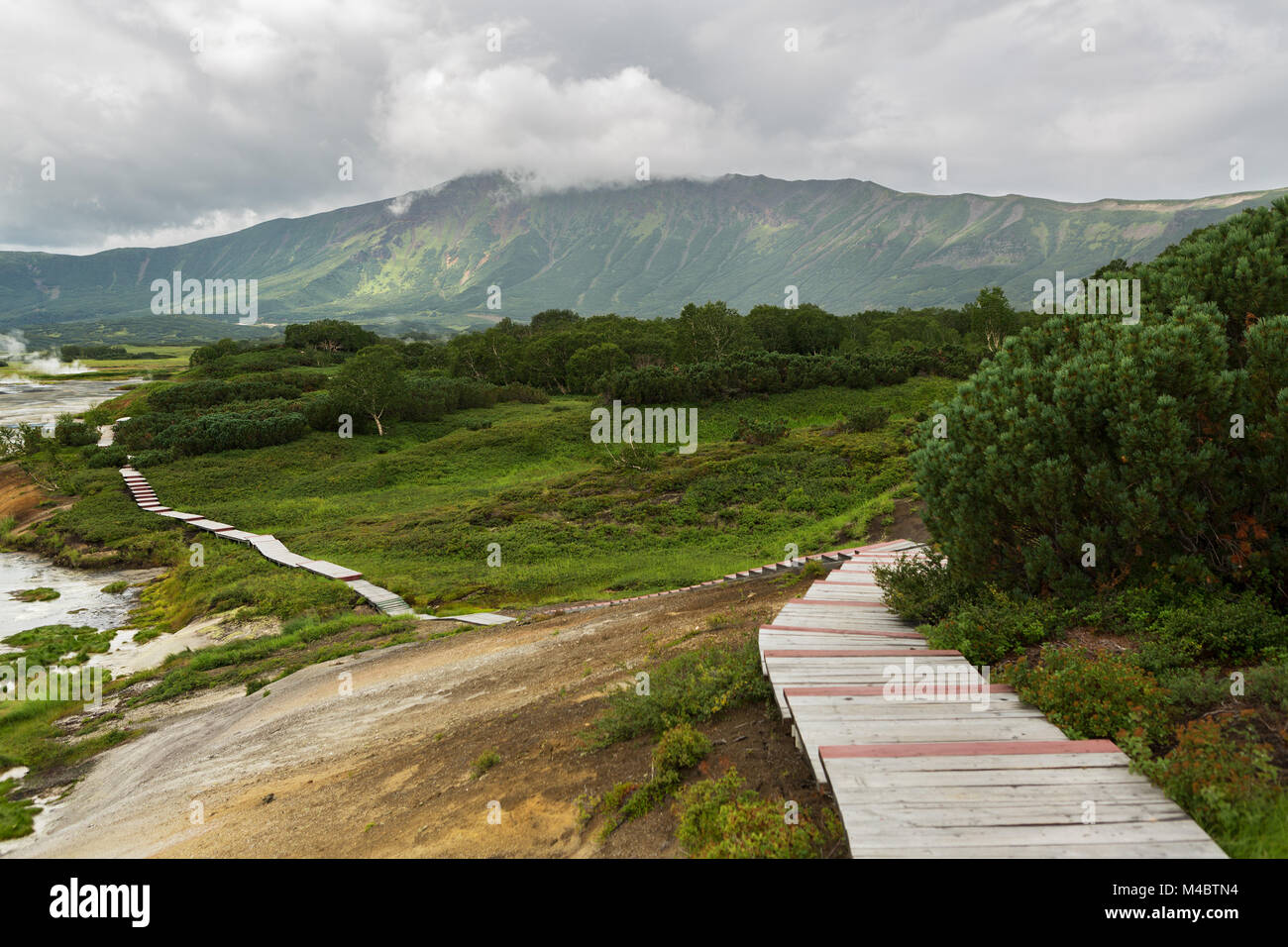 Wooden path in the Uzon Caldera. Kronotsky Nature Reserve Stock Photo ...