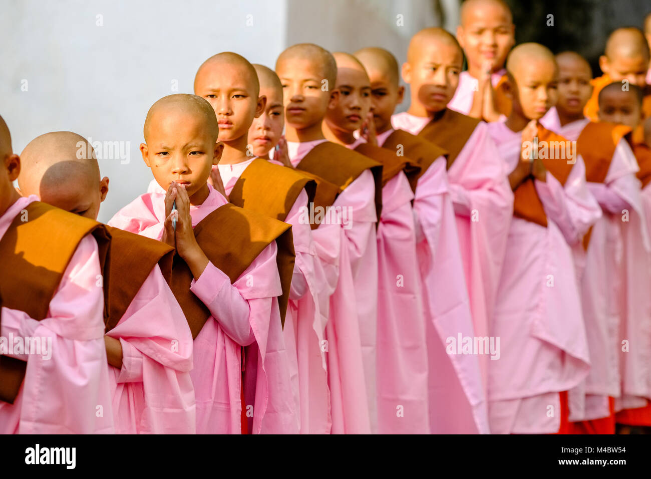 Portraits of young buddhist nuns, queuing in a long row to receive ...