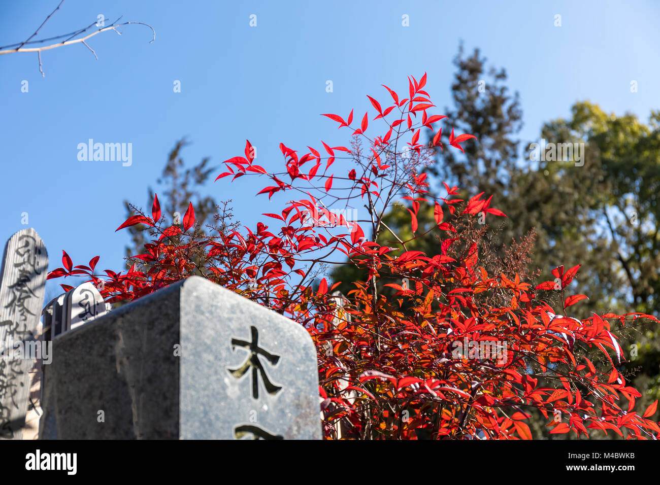 Japanese gravestone hi-res stock photography and images - Alamy