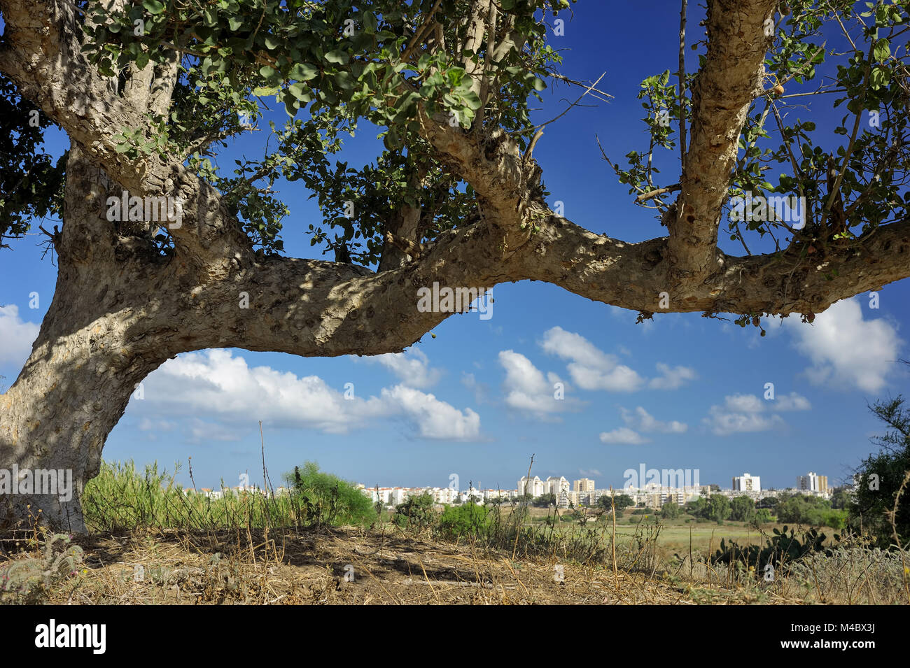 Waste ground hi-res stock photography and images - Alamy