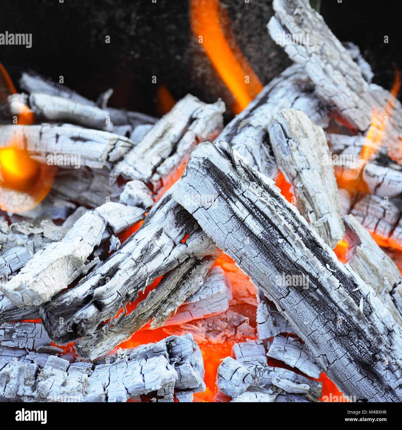 bonfire, fire, wood coal and ash Stock Photo - Alamy